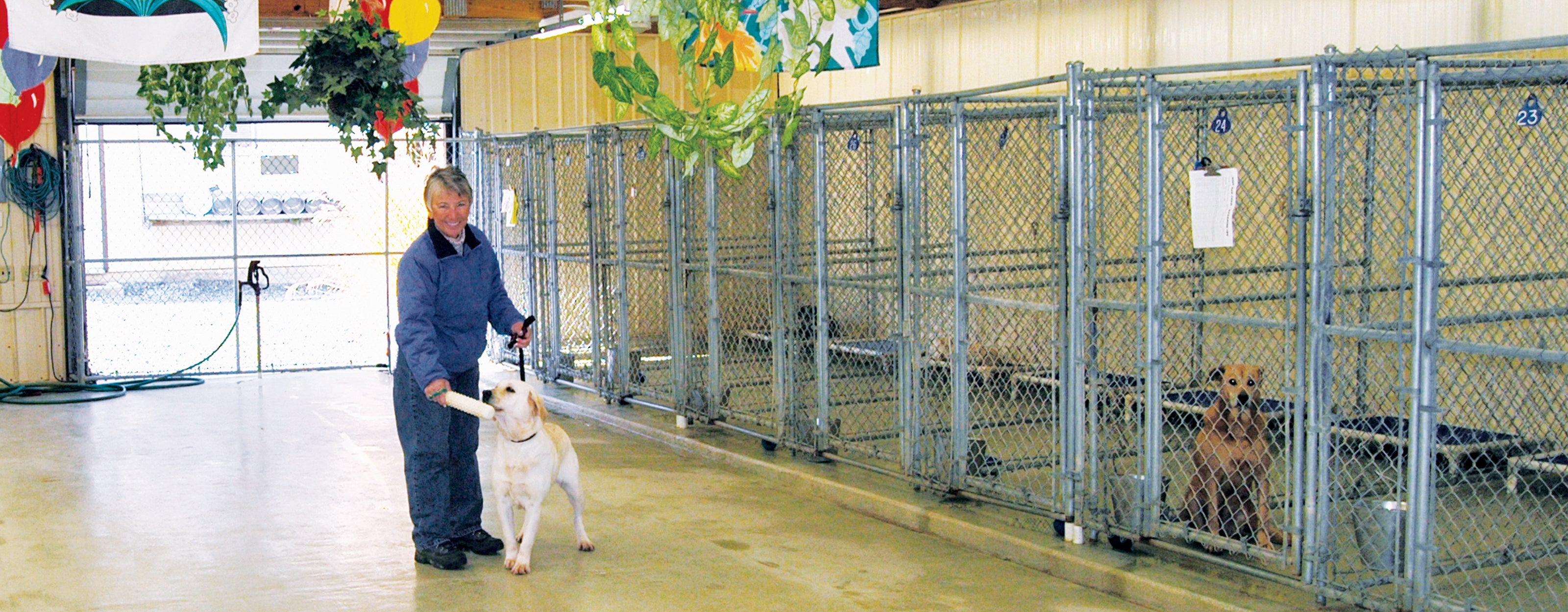 Tips For Reducing Kennel Stress For Your Dog | Purina Pro Club