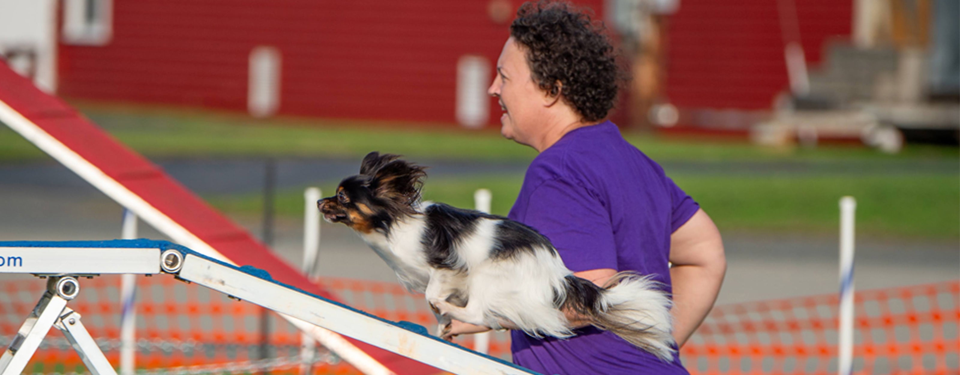 Small Agility Dog Wins Cynosport Winter Games 2024 | Purina Pro Club